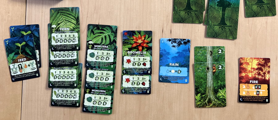 Solo Game Review: Manage Your Rainforest In The Set-Building Game ...