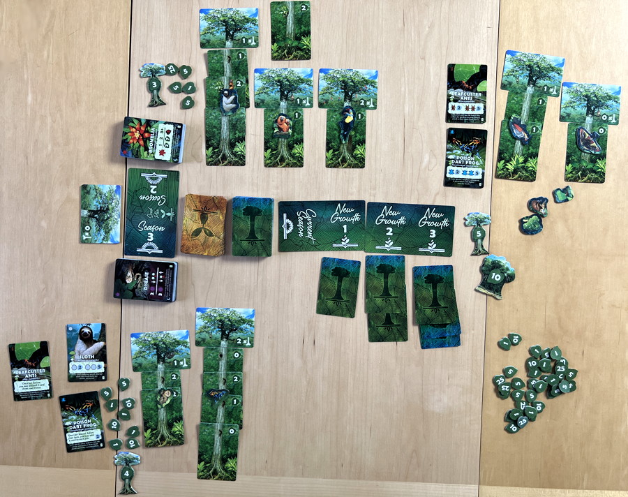 Solo Game Review: Manage Your Rainforest In The Set-Building Game ...