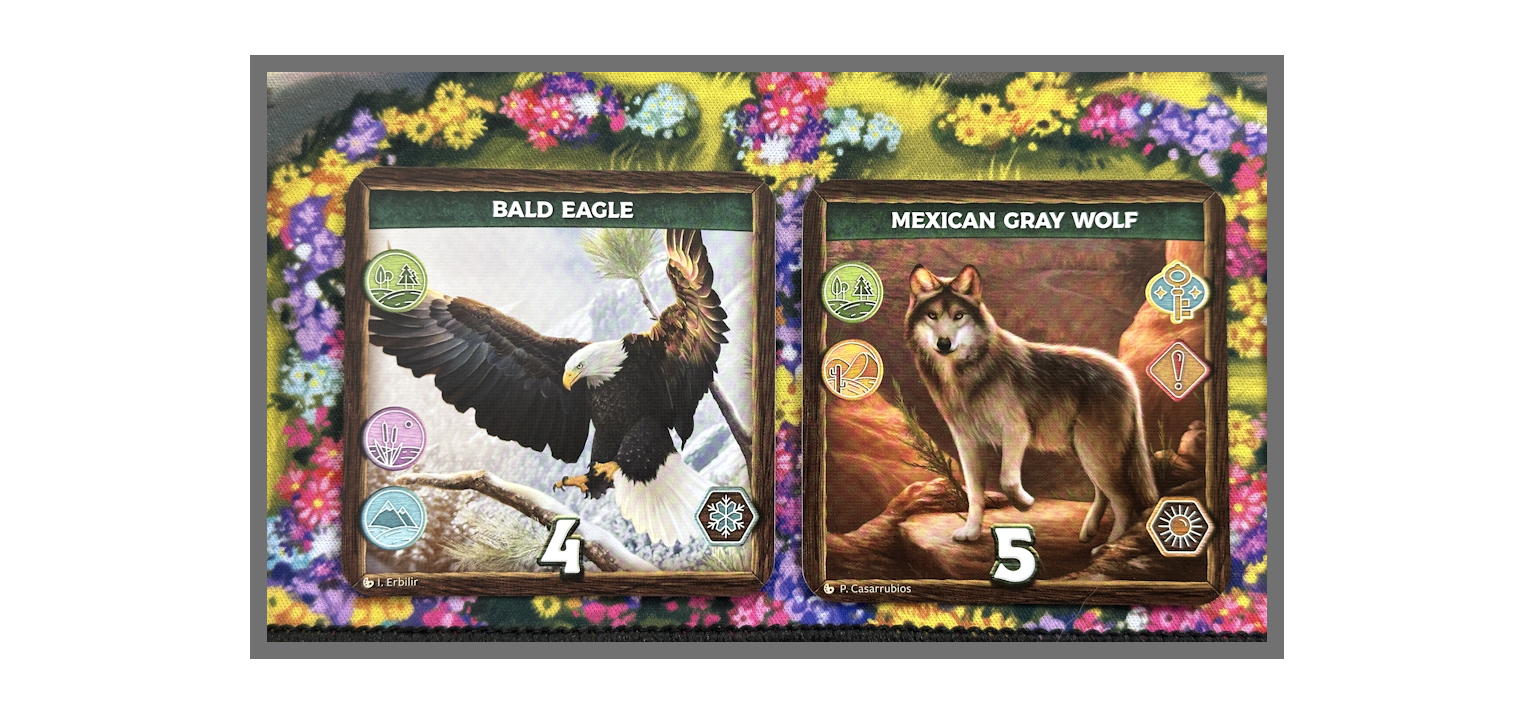 Game Review: Line Up Those Species in “Keystone: North America” -- from ...